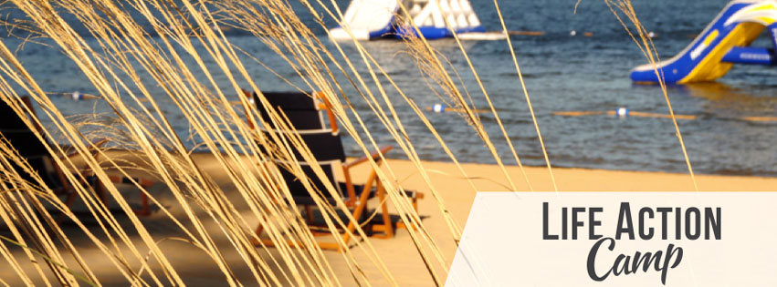 June 2025 SOWER Newsletter for