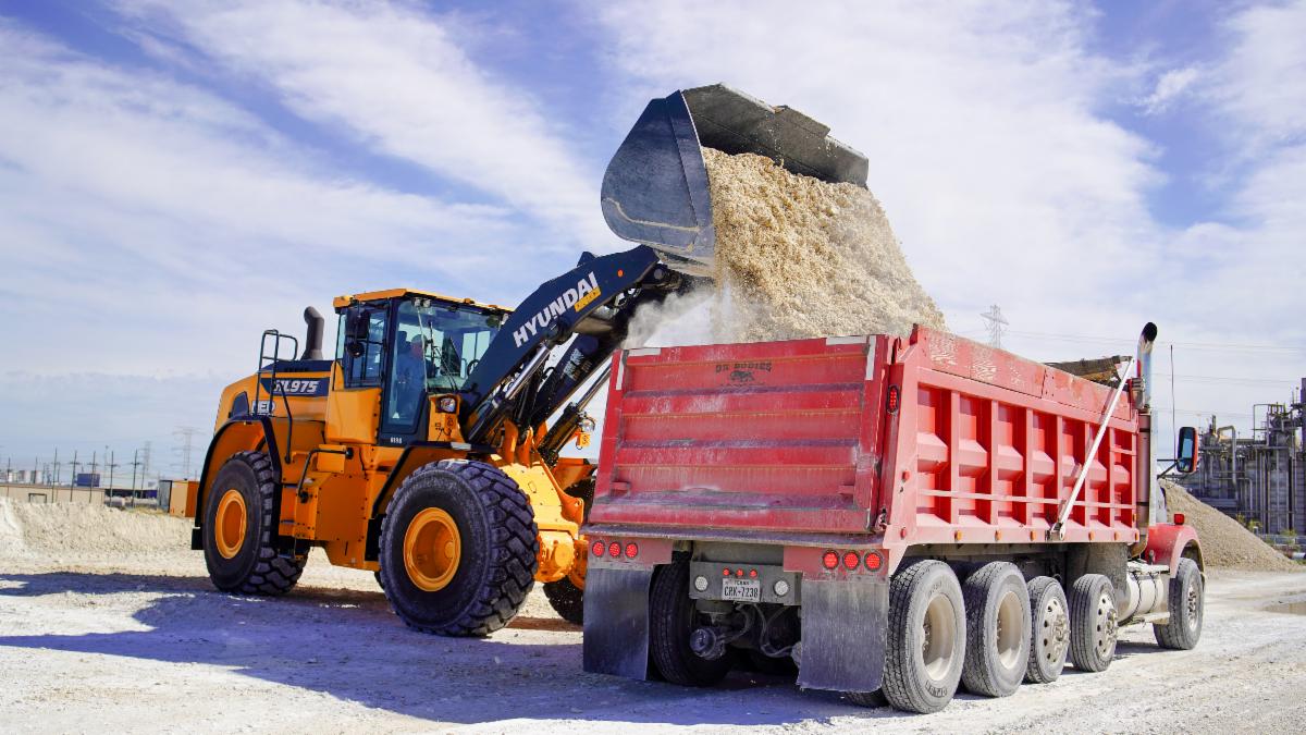 NED NEWS - November 2022, ISSUE #20