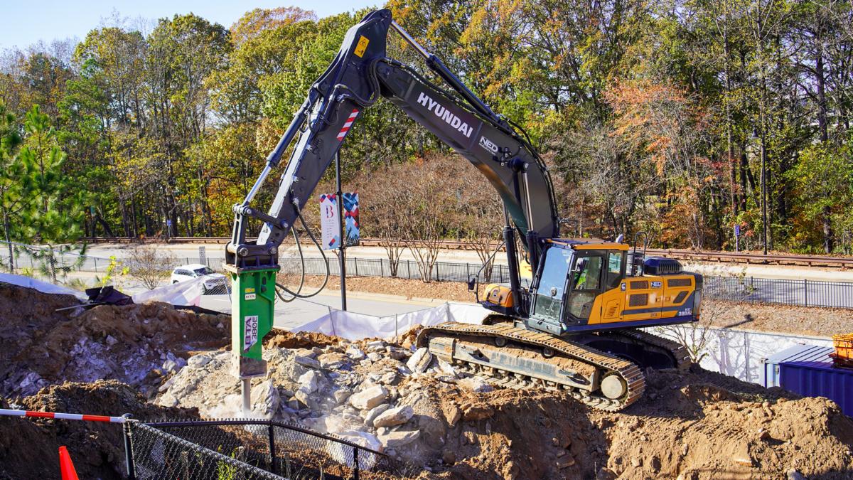 NED NEWS - November 2022, ISSUE #20