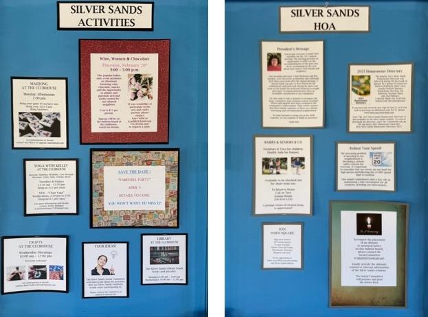 The Sands Newsletter - March 2025