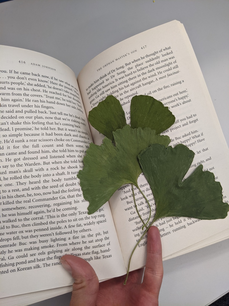 Which bookmark are you?