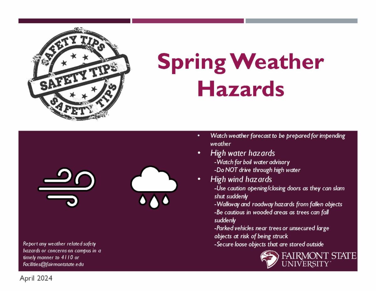 Student Falcon Flyer