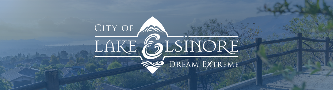 Council Connection Update