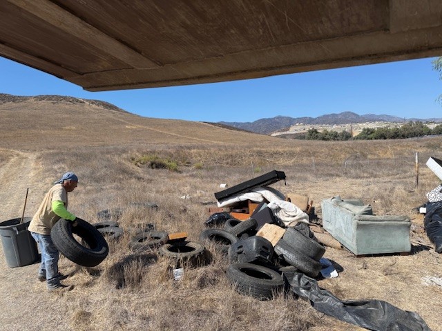 Council Connection Update