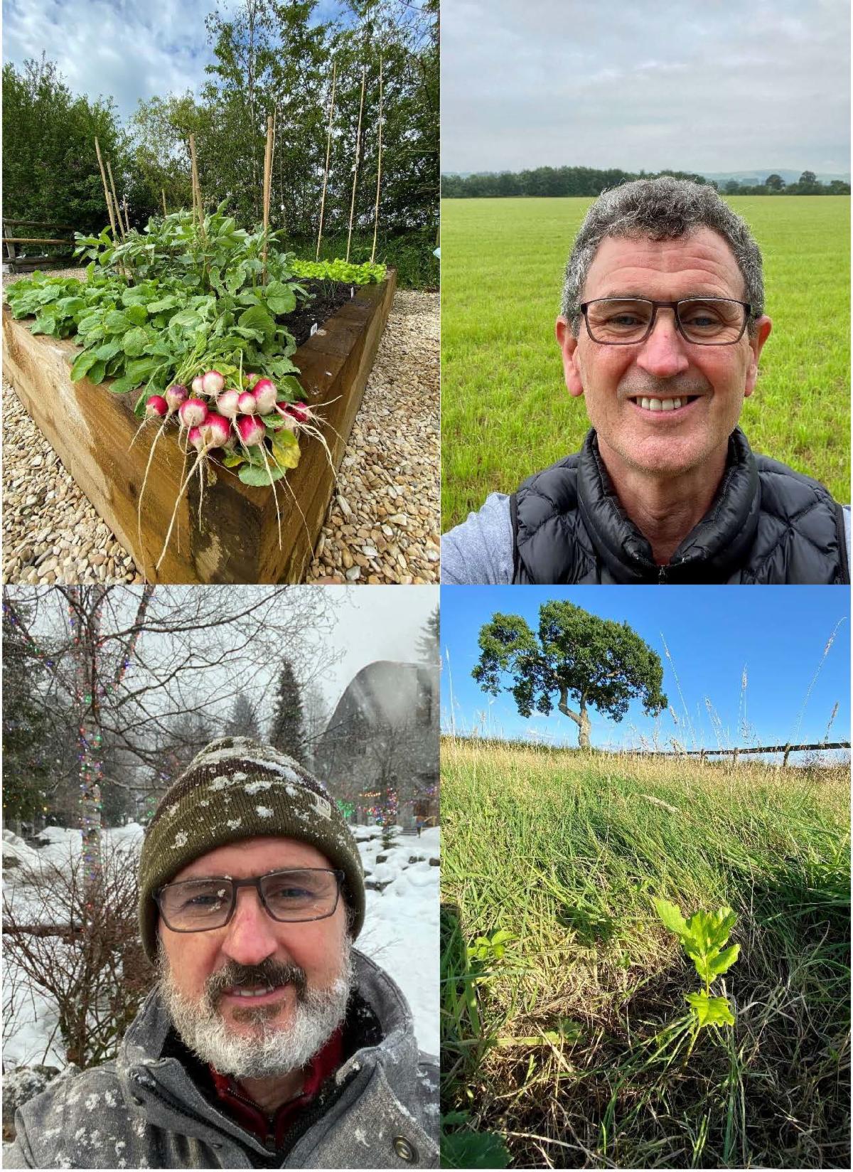 Retirement Security Matters - ESG, Tesla, and You - with Andrew Parry ...