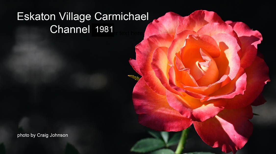 Ch 1981 TV NEWS & SCHEDULE: June 5 - 11, 2023