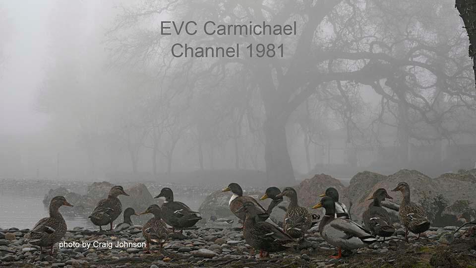 Ch 1981 TV SCHEDULE: Jan. 30 - Feb. 5, 2023