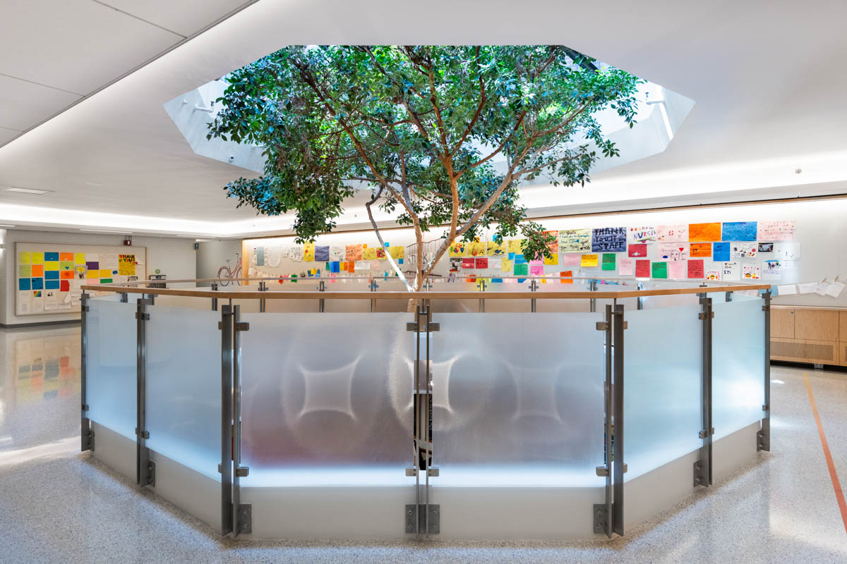 Look Inside our Bold Renovation for Bank Street School of Education's ...