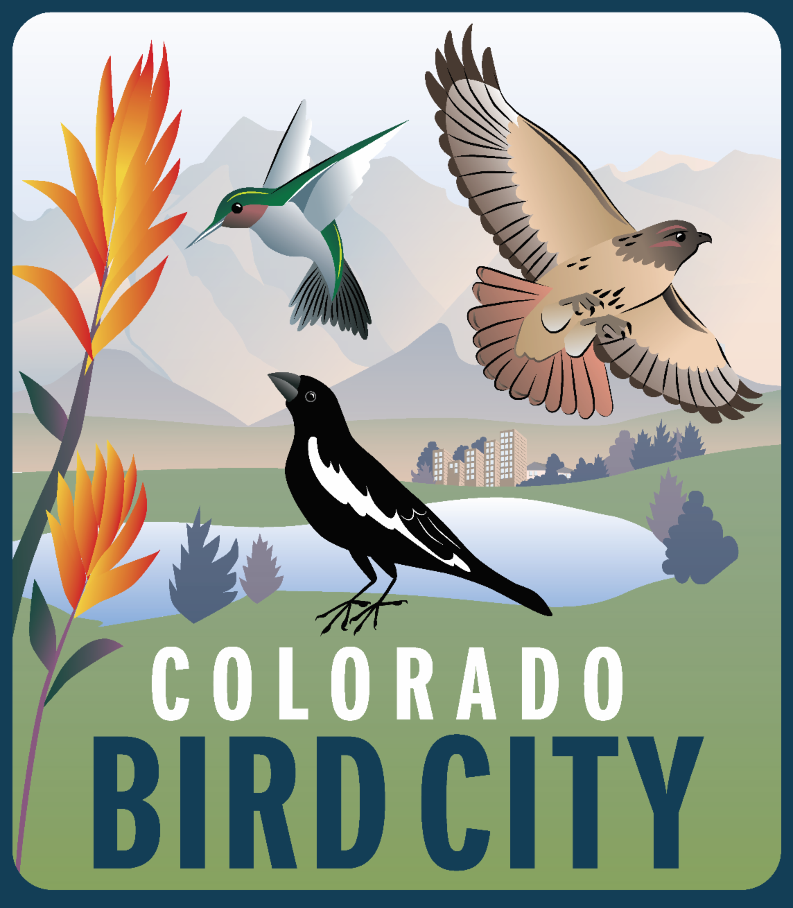 Bird City Network, NEW Internships, and MORE!