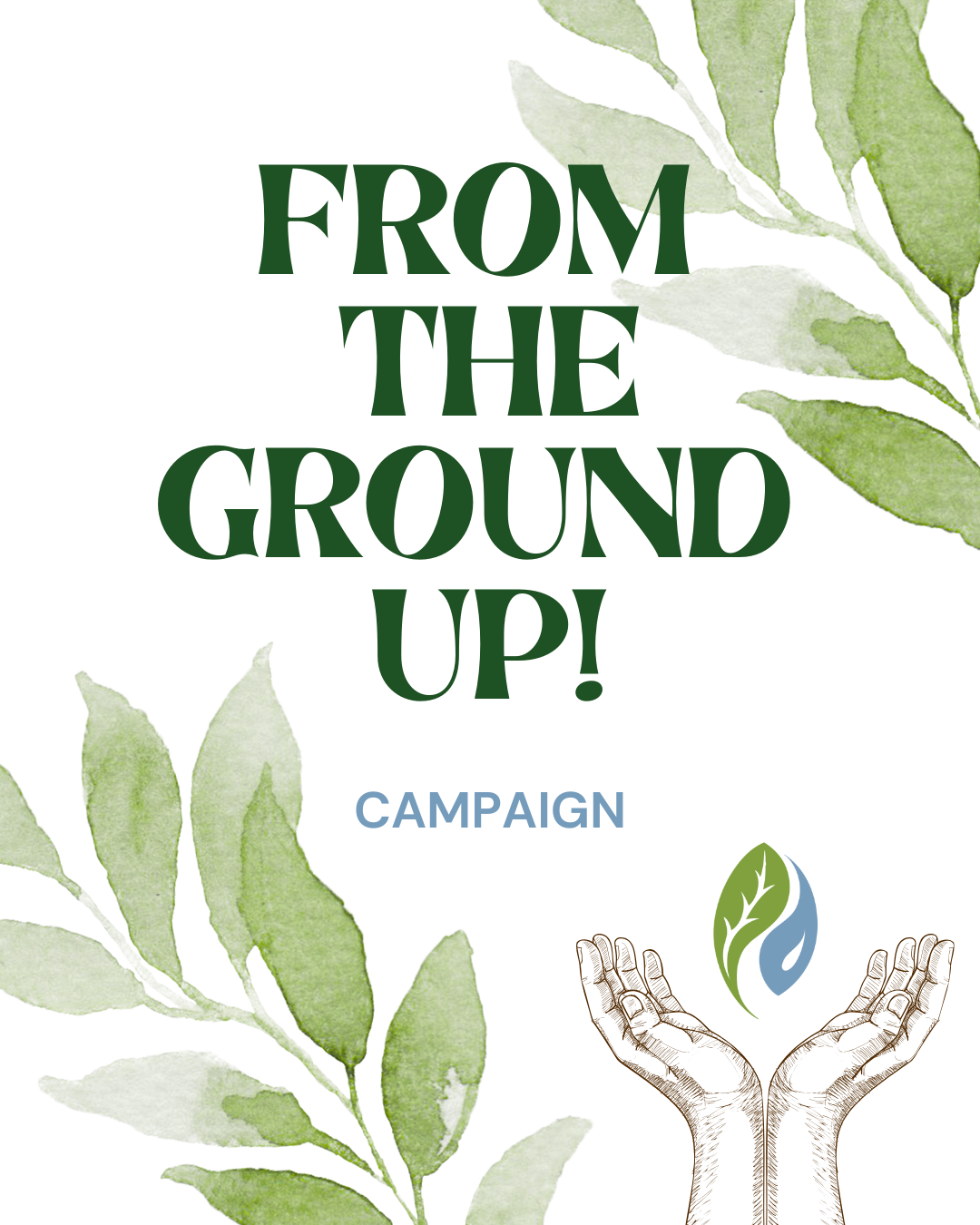 VCRCD December Newsletter🌲