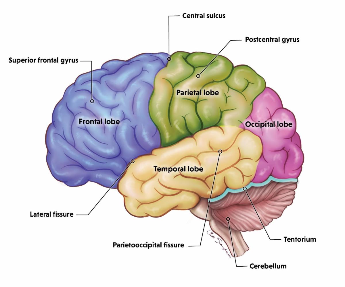 ICD-10-PCS Root Operations, CCS 30-Day Plan, Trauma Coding