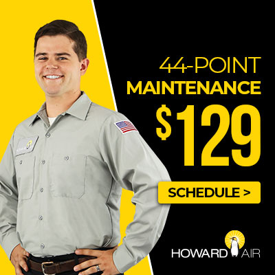 Don't Miss Out on Our Black Friday Sale