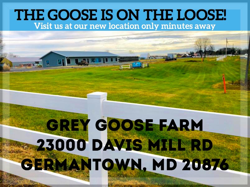 Drum Roll Please...Grey Goose Farm is moving January 2022!!