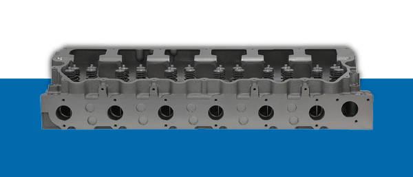 Unlimited Distributor Access: View PAI's August 2023 Stay Current