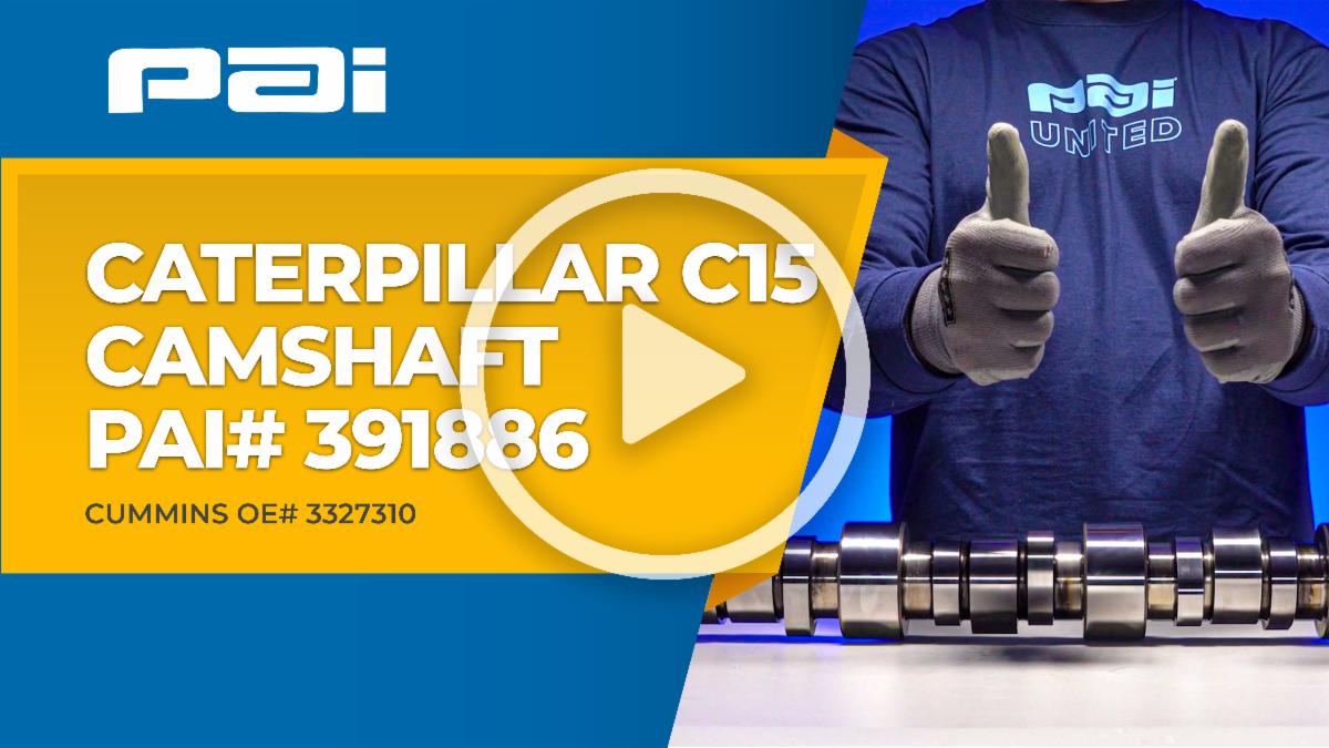 Unlimited Distributor Access: View PAI's September 2023 Stay Current