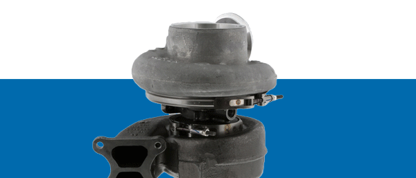 Unlimited Distributor Access: View PAI's December 2023 Stay Current