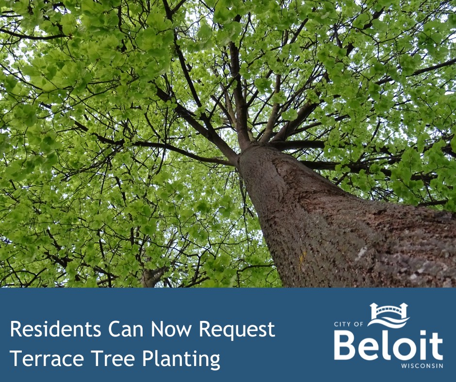 Beloit Report: Do You Want a Terrace Tree? This Info and More in Today ...