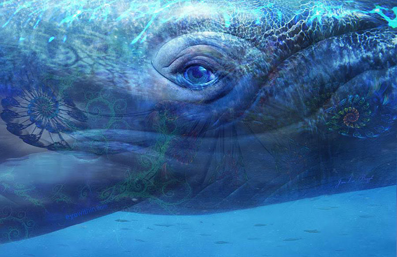 FUTURISTIC COMMUNICATIONS WITH DOLPHINS AND WHALES futuristic-communications-with-dolphins-and-whales