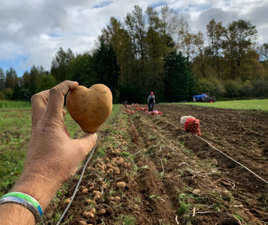 What has over 300 years of farming experience but is only 3 years old?