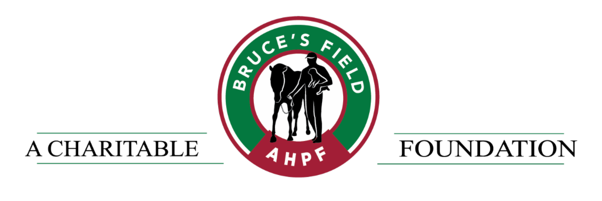 2026 Annie Goodwin Rising Star Grant Applications Now Open