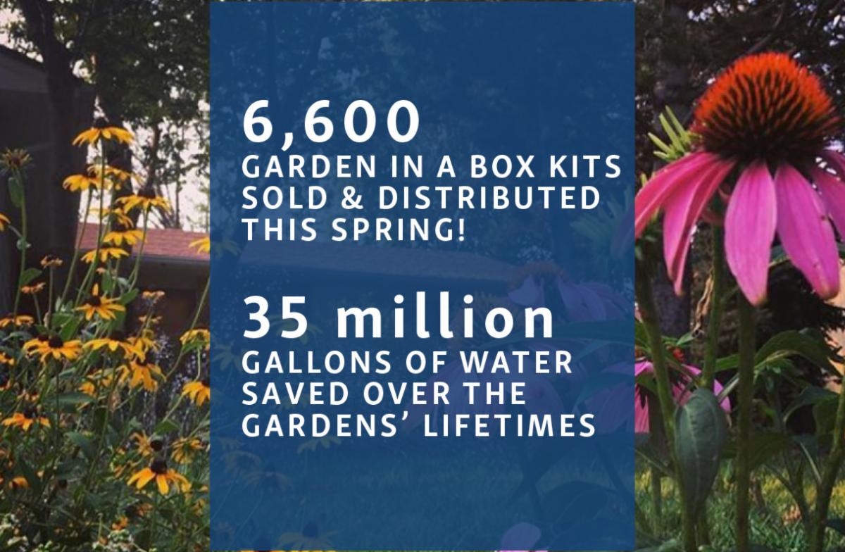 Miss out on spring planting? Plant waterwise this fall!