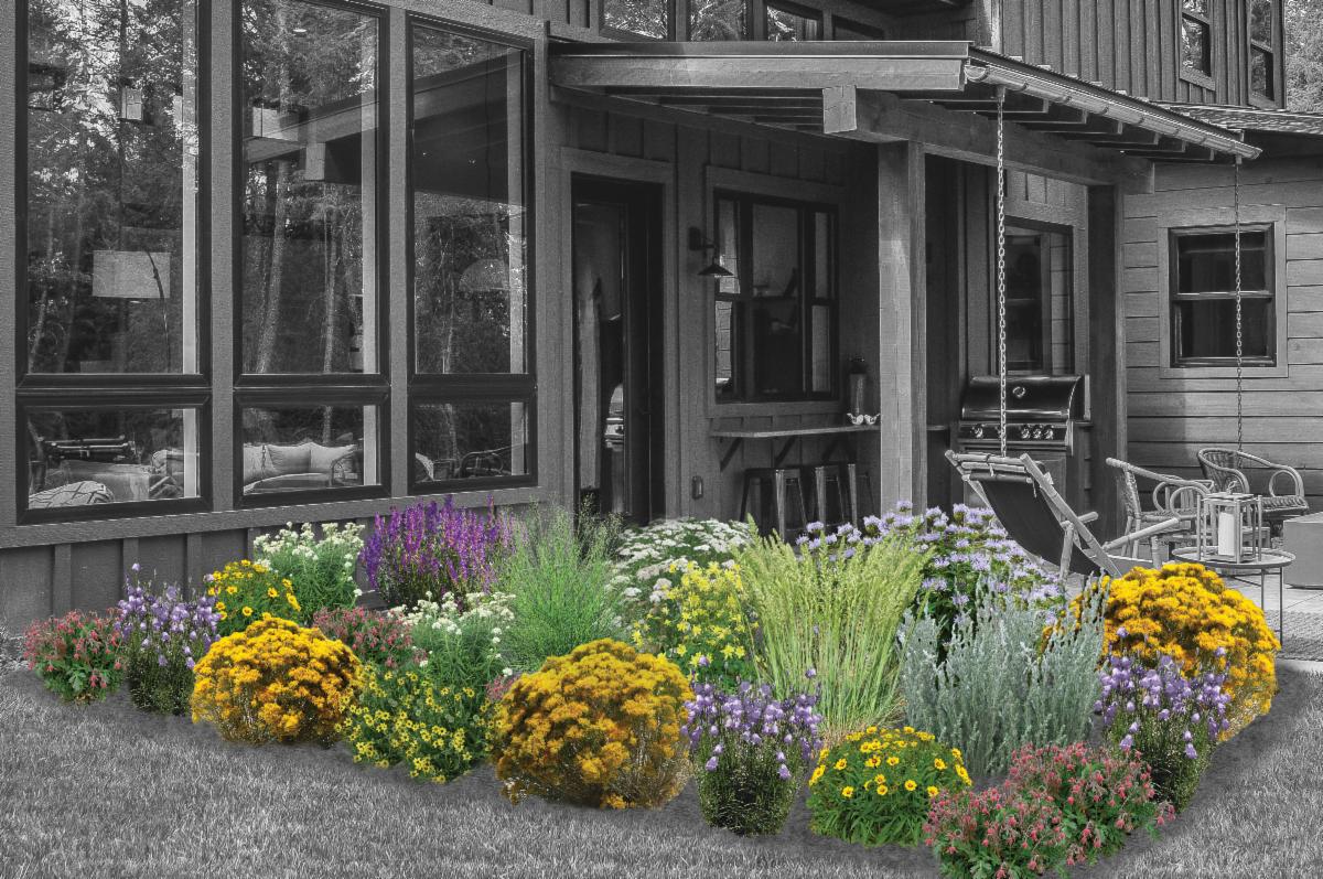 Spring waterwise gardens available now!