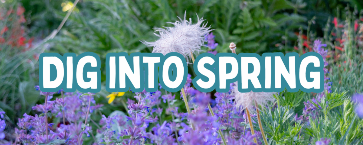 Dig Into Spring! 🌱