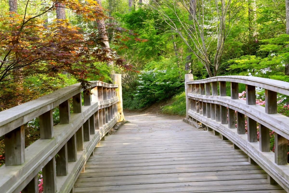 Friday's Refresh Daily Devotion