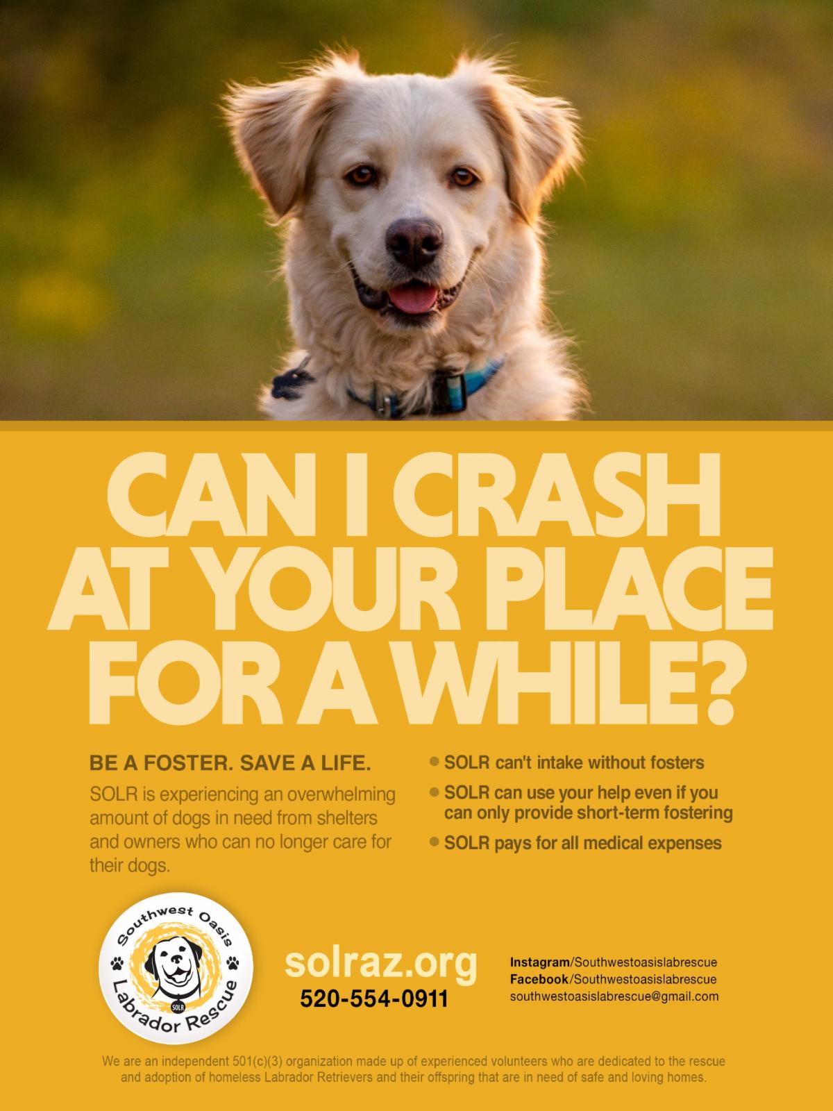 Paw Print - May 16, 2025