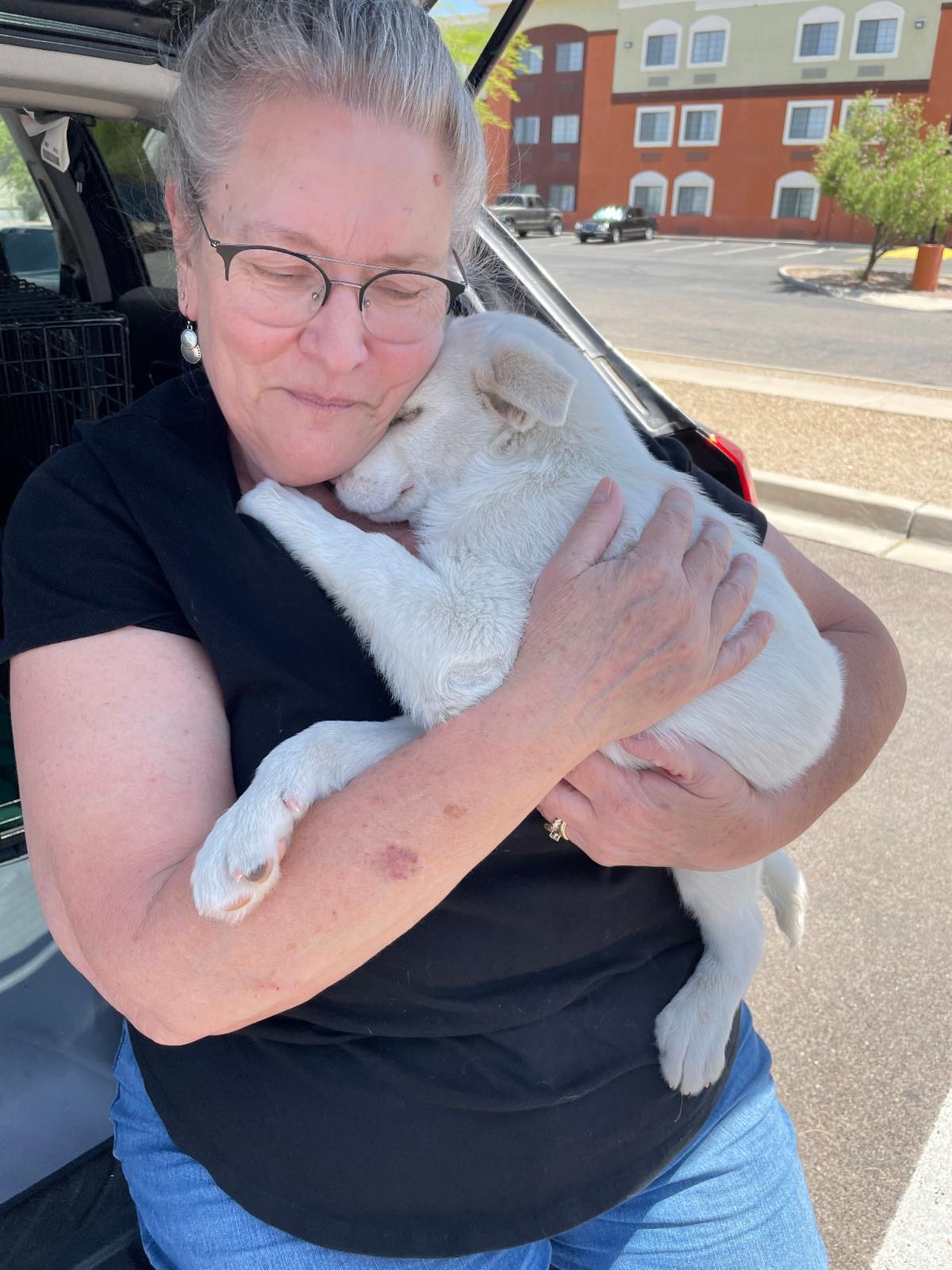 Our Summer 2021 Newsletter is Here,