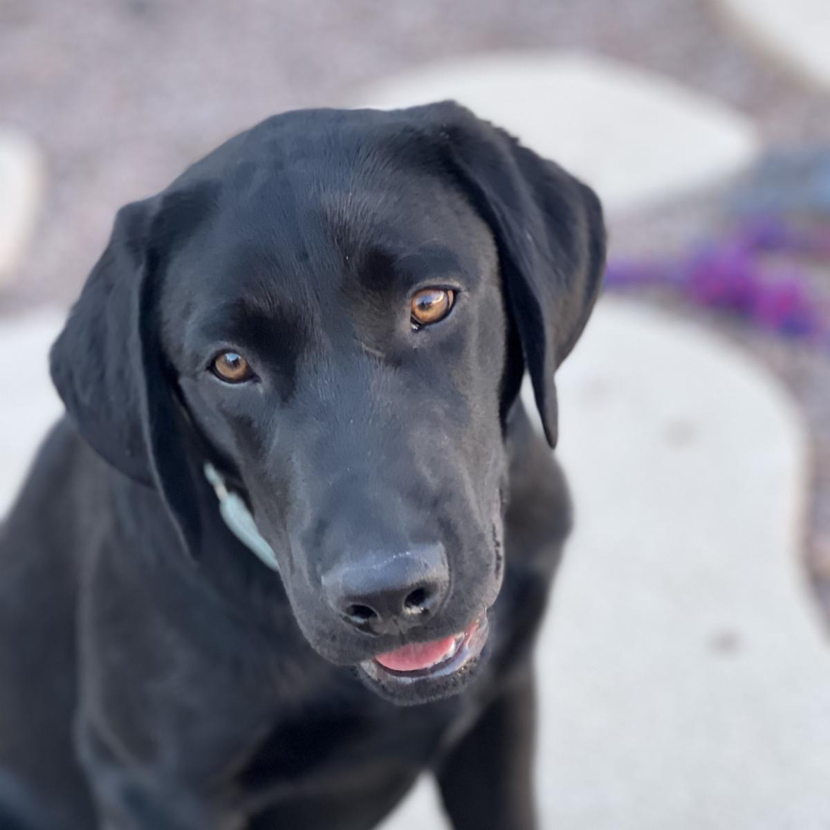 Newsletter | Jan-Feb 2022