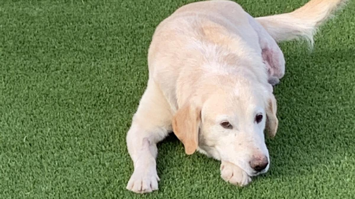 2025 - AZ Story #3 - Jasmine