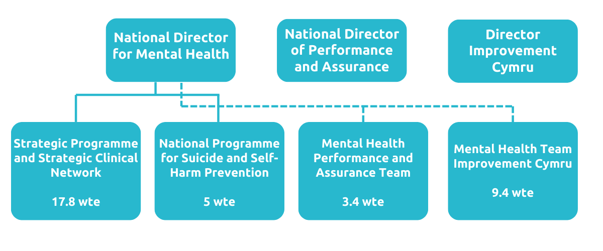 NHS Wales Executive stakeholder update March 2024
