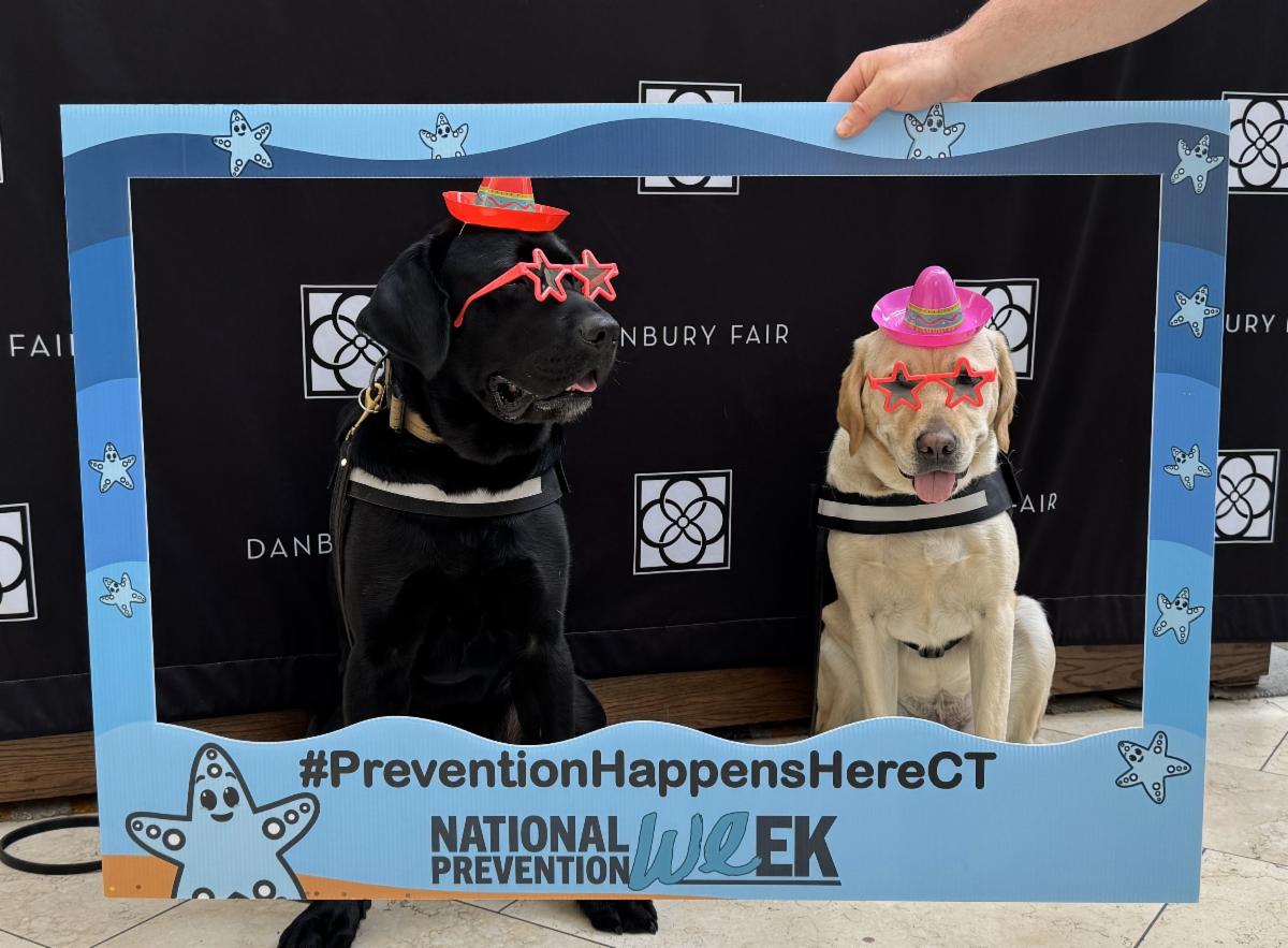 Connecticut's National Prevention Week 2025 Highlights
