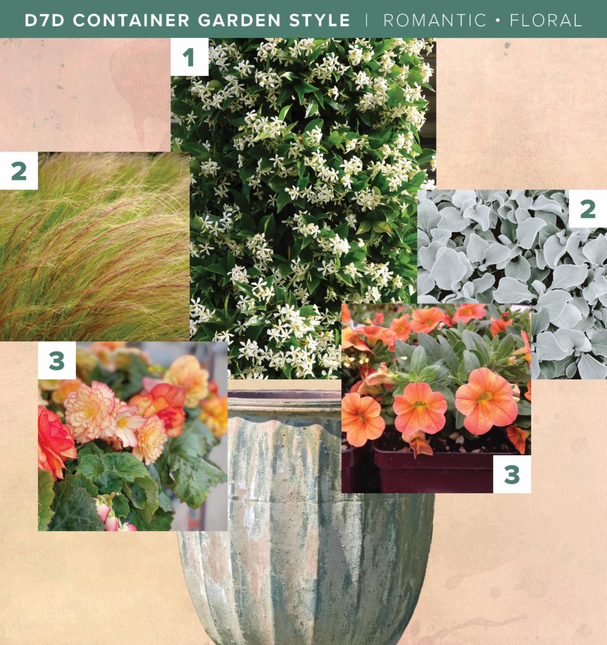 Container Gardening Inspiration & New Spring Arrivals!