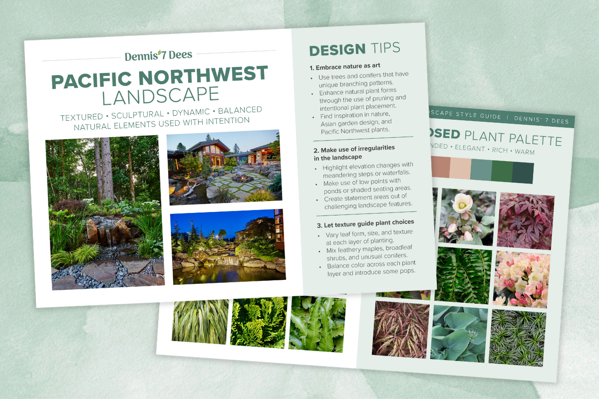 Our Newest Landscape Design Guide is Here! 🤩