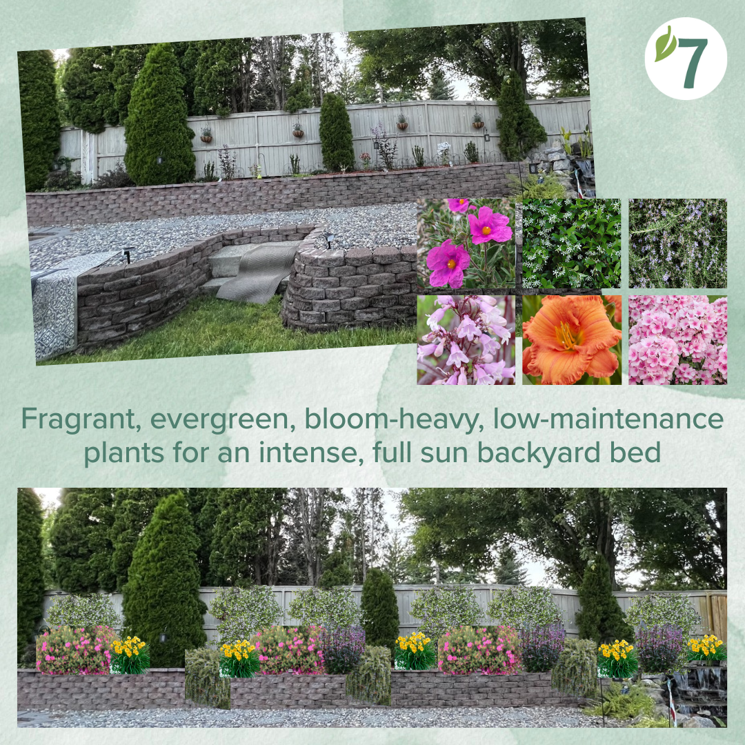 Secrets to Successful Shade Gardening 😎