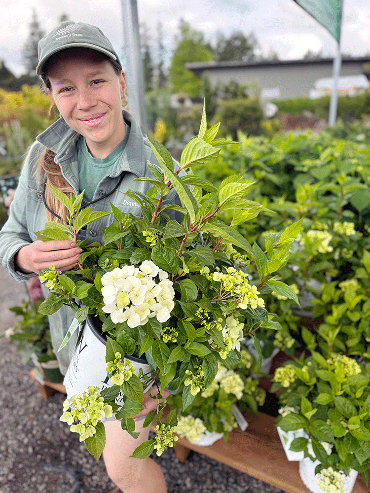Our Cottage Garden Design Guide Has Bloomed! 🌹💐🌼
