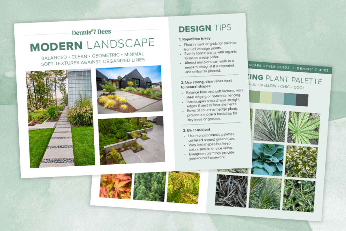 Our Modern Landscape Design Guide Is Here! 🌲🌲🌲