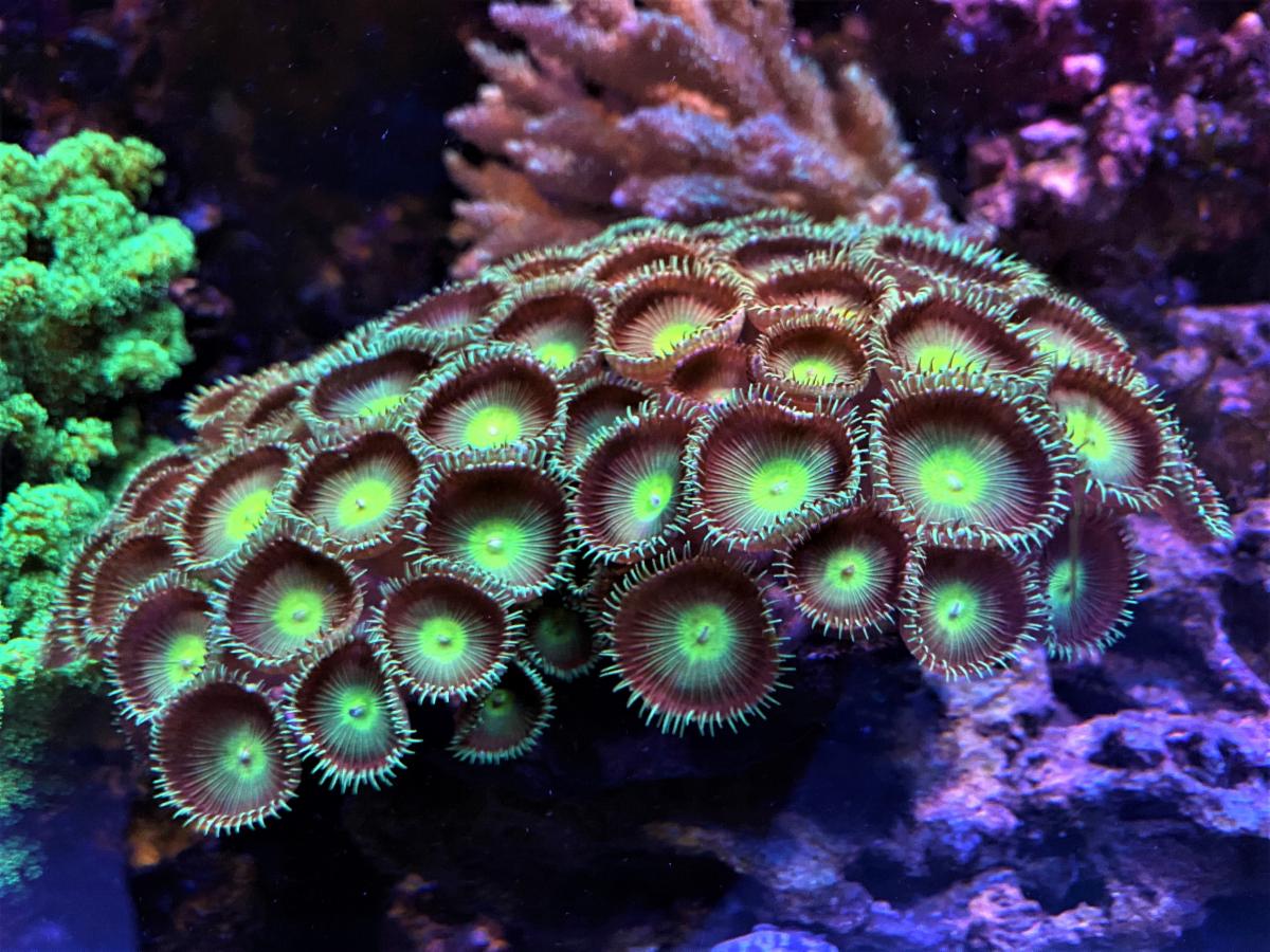 Check Out What We Got In! 😍