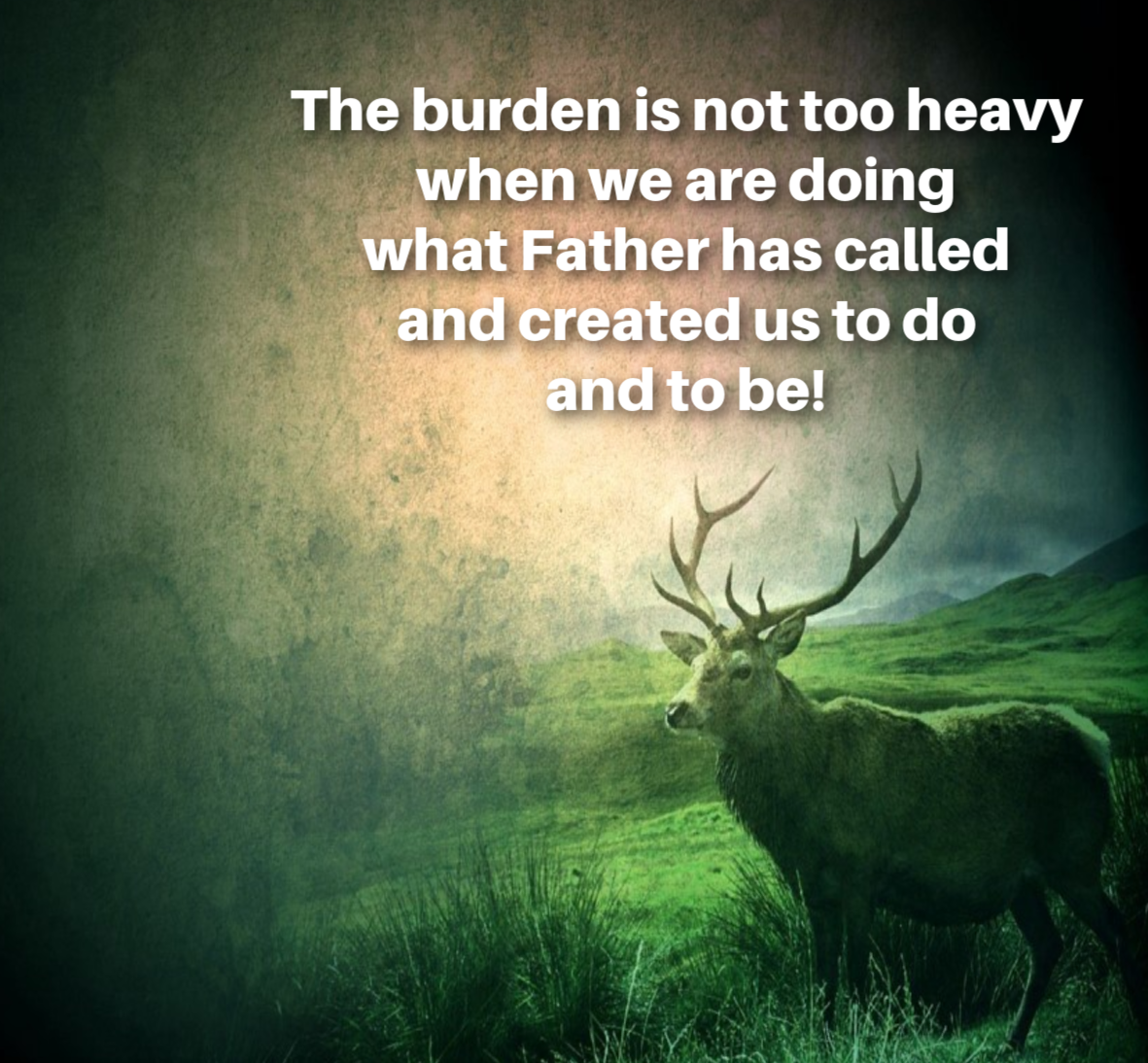 Lessons for overwhelmed & discouraged writers from the elk