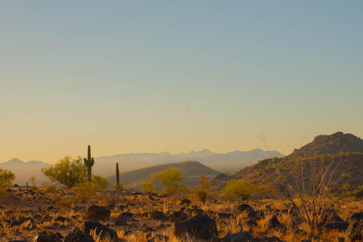 November Happenings in Glendale, Arizona