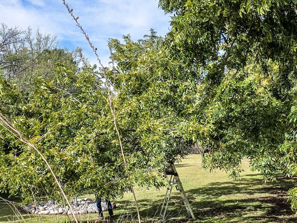 One Week, One Project, One Path to a ﻿Stress-Free Holiday Season.