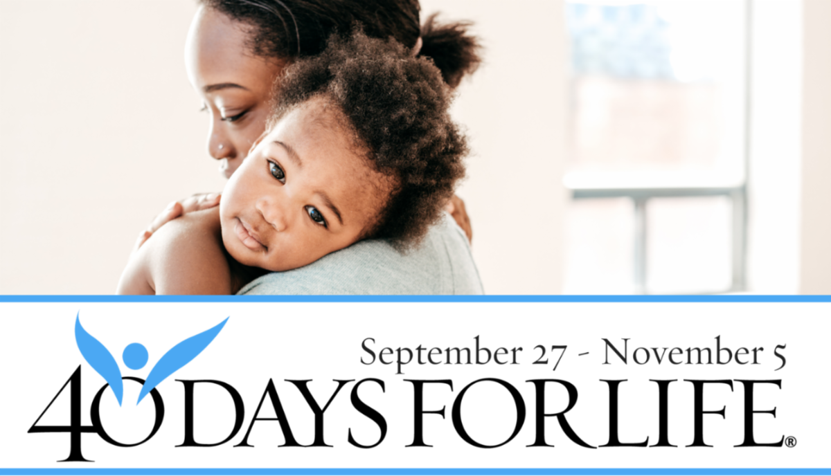 News & Updates - October 27th