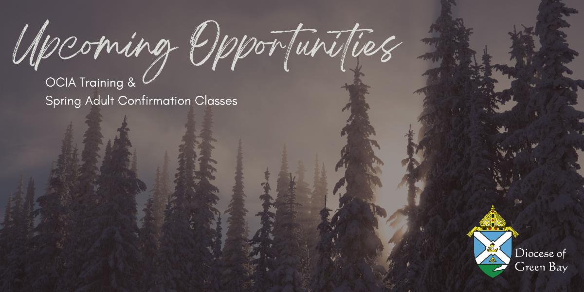 December - OCIA Training Postponed