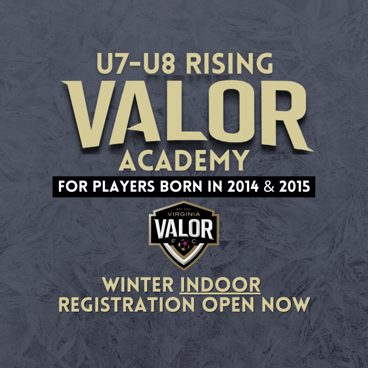 CYA Weekly Buzz - Really Big Holiday News!