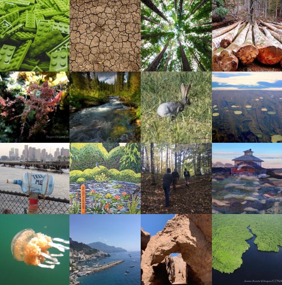 Happy Earth Day. Incentives and Habits to Save the Planet