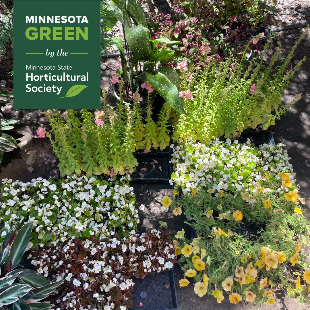 Northern Gardener™ E-news