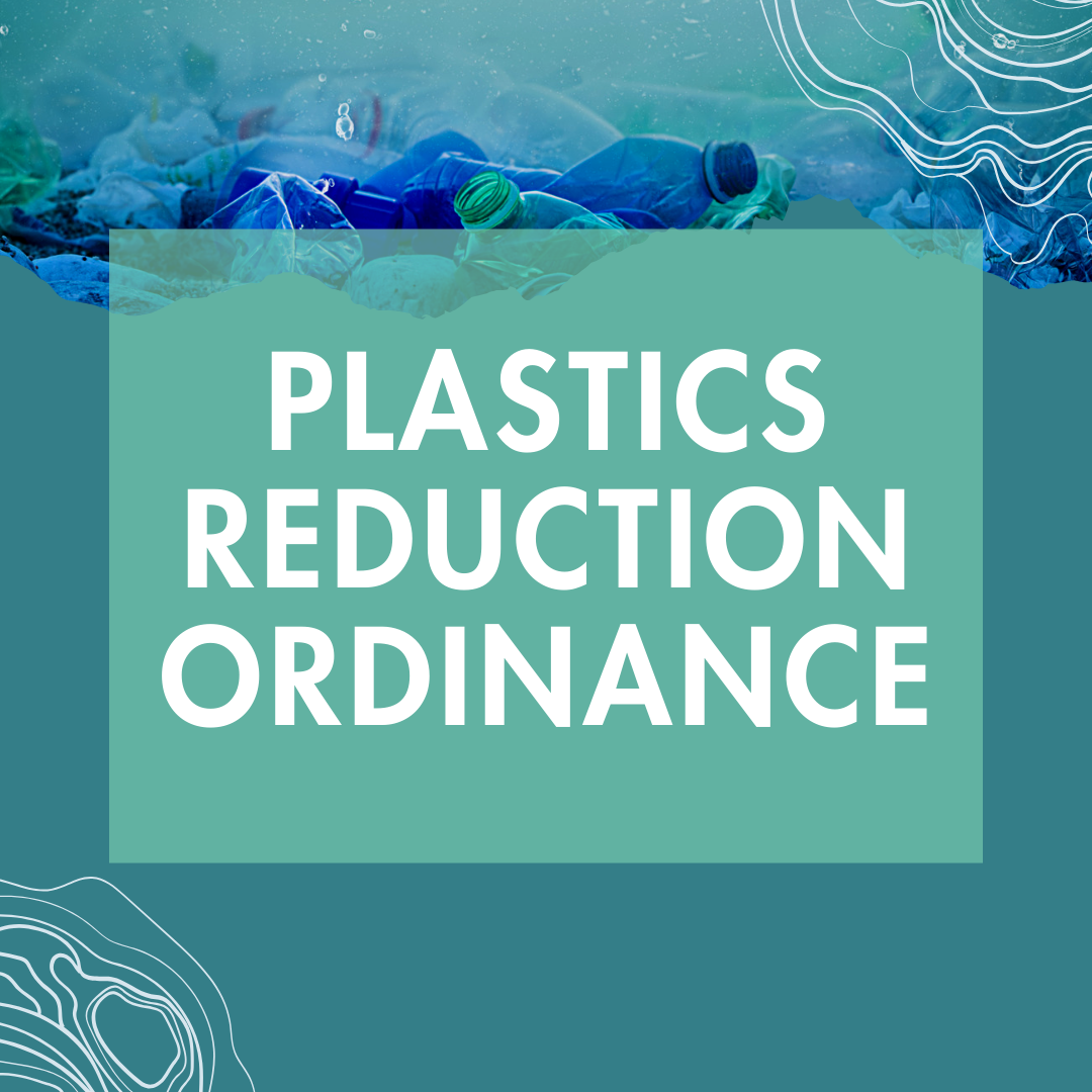 City Manager's Update February 7, 2025