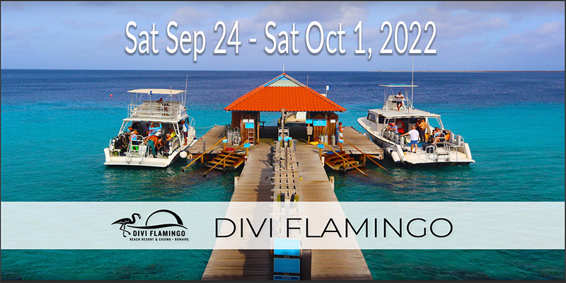 Pirates descend on San Antonio